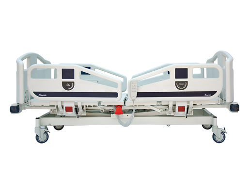 Mys 5320ne Meyosis